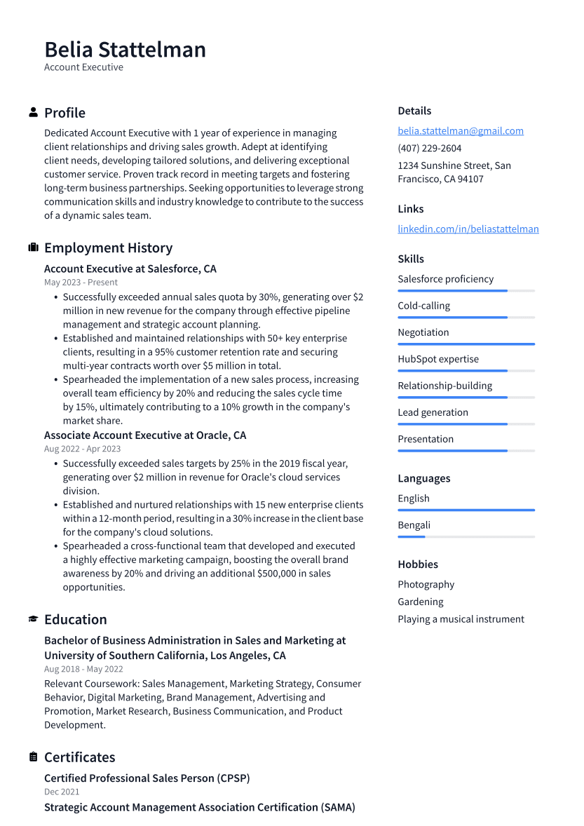 Top 17 Account Executive Resume Objective Examples