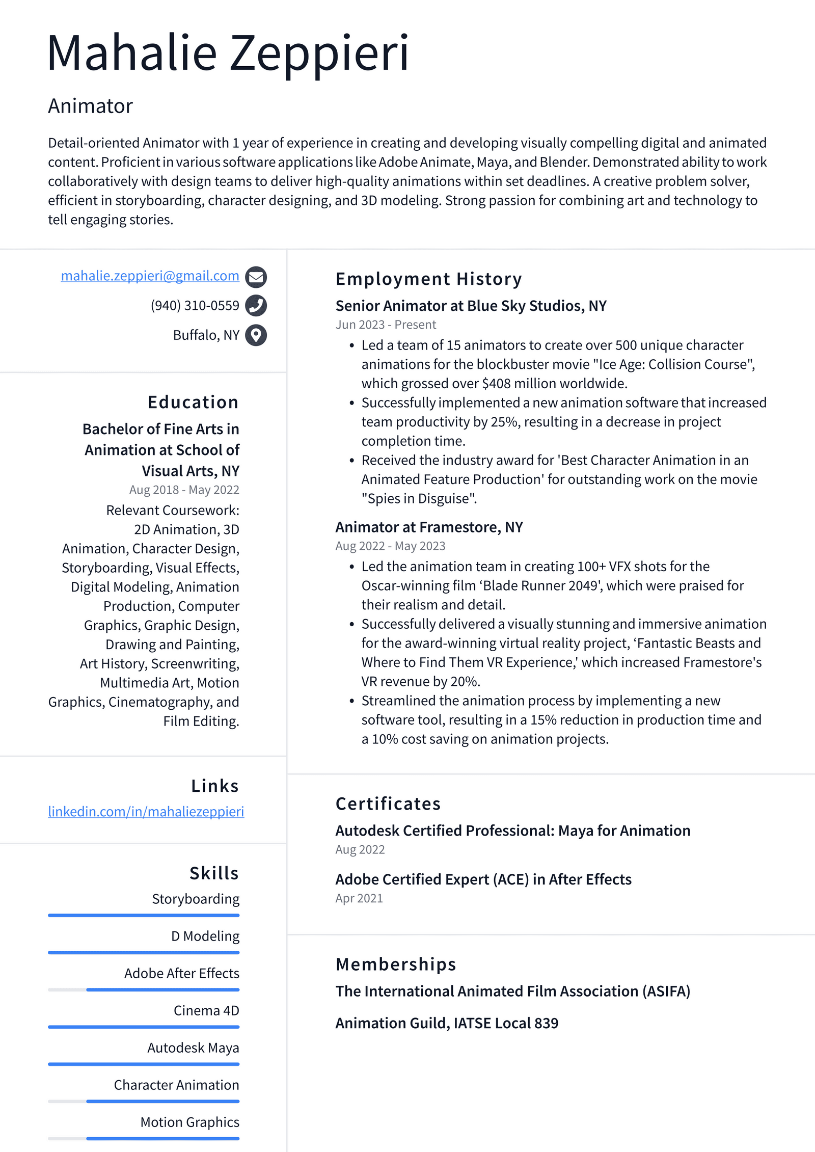 Adobe Animator Resume Examples | ResumeCat