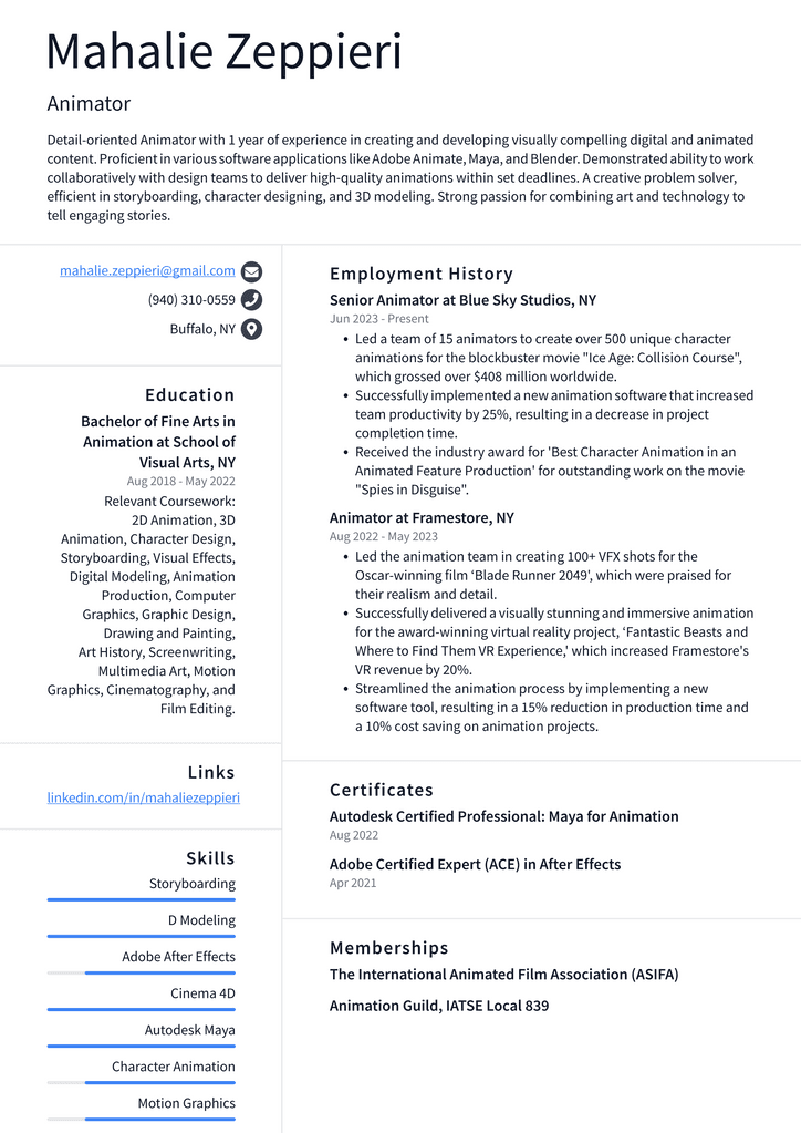 Adobe Animator Resume Examples | ResumeCat