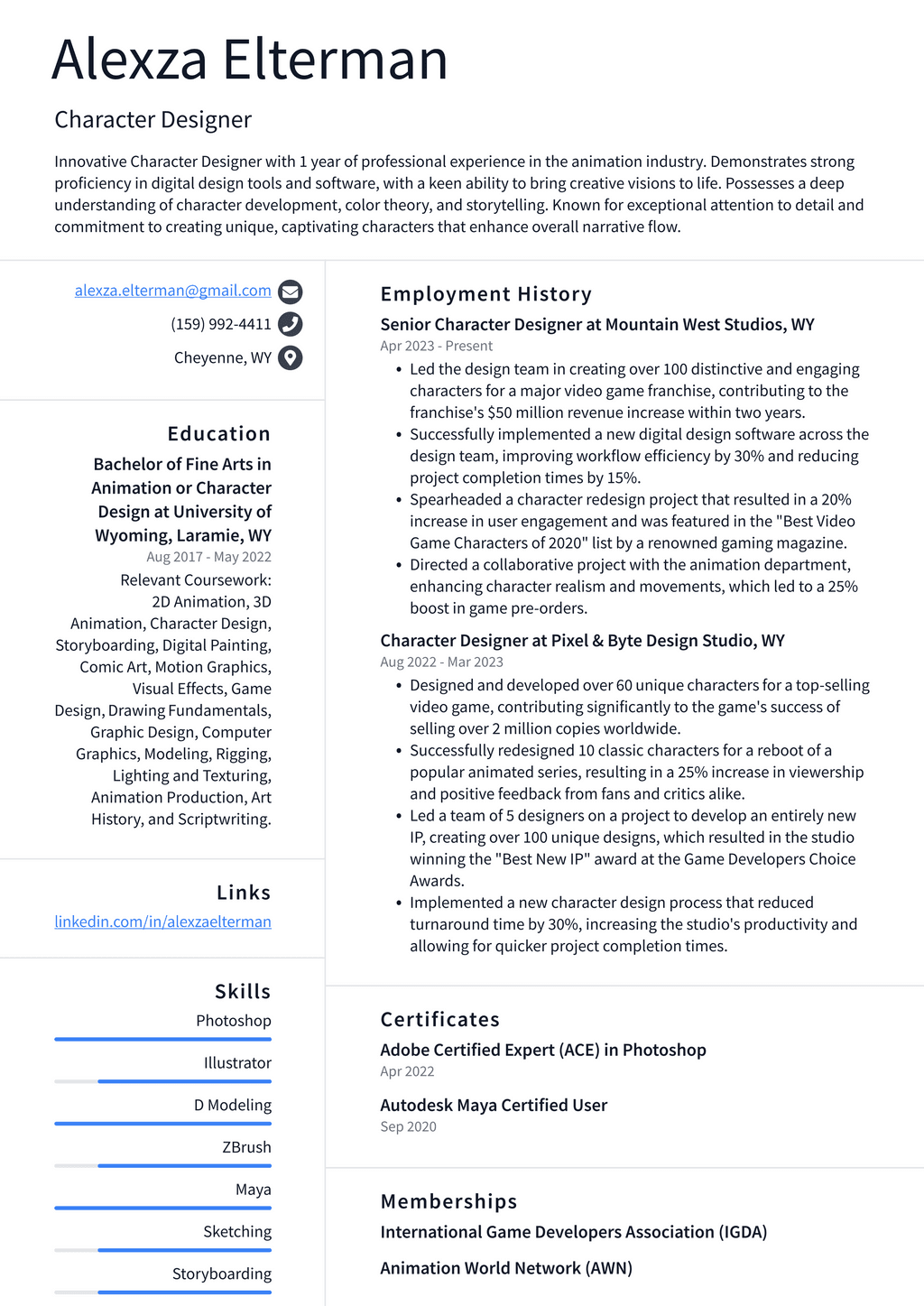 Adobe Character Designer Resume Examples | ResumeCat