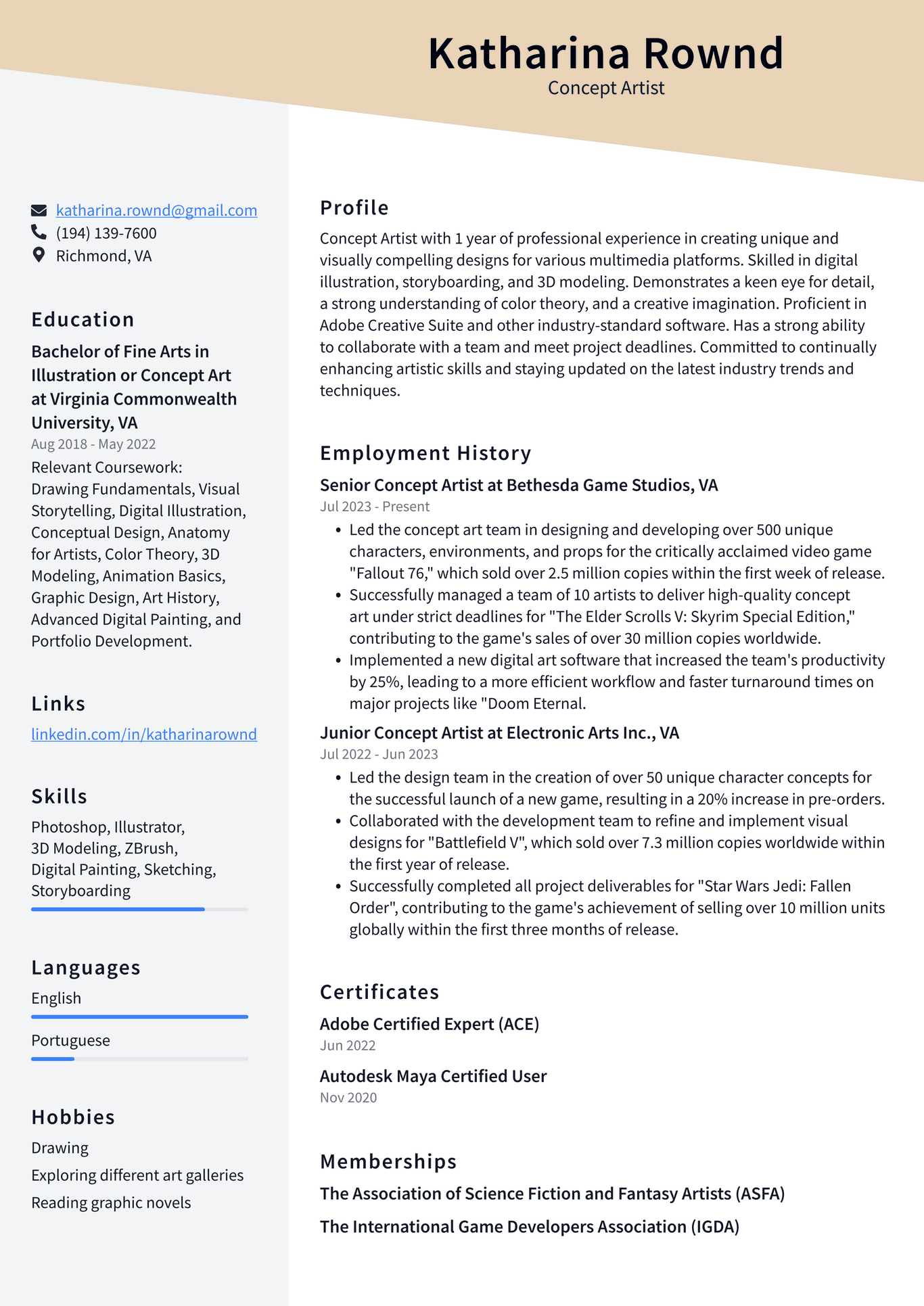 Adobe Concept Artist Resume Examples | ResumeCat