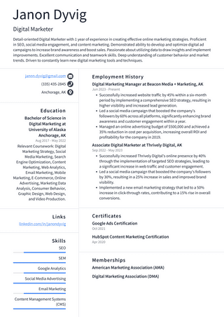 Adobe Digital Marketer Resume Examples | ResumeCat
