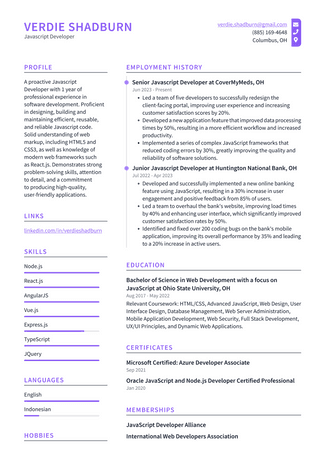 Adobe Javascript Developer Resume Examples | ResumeCat