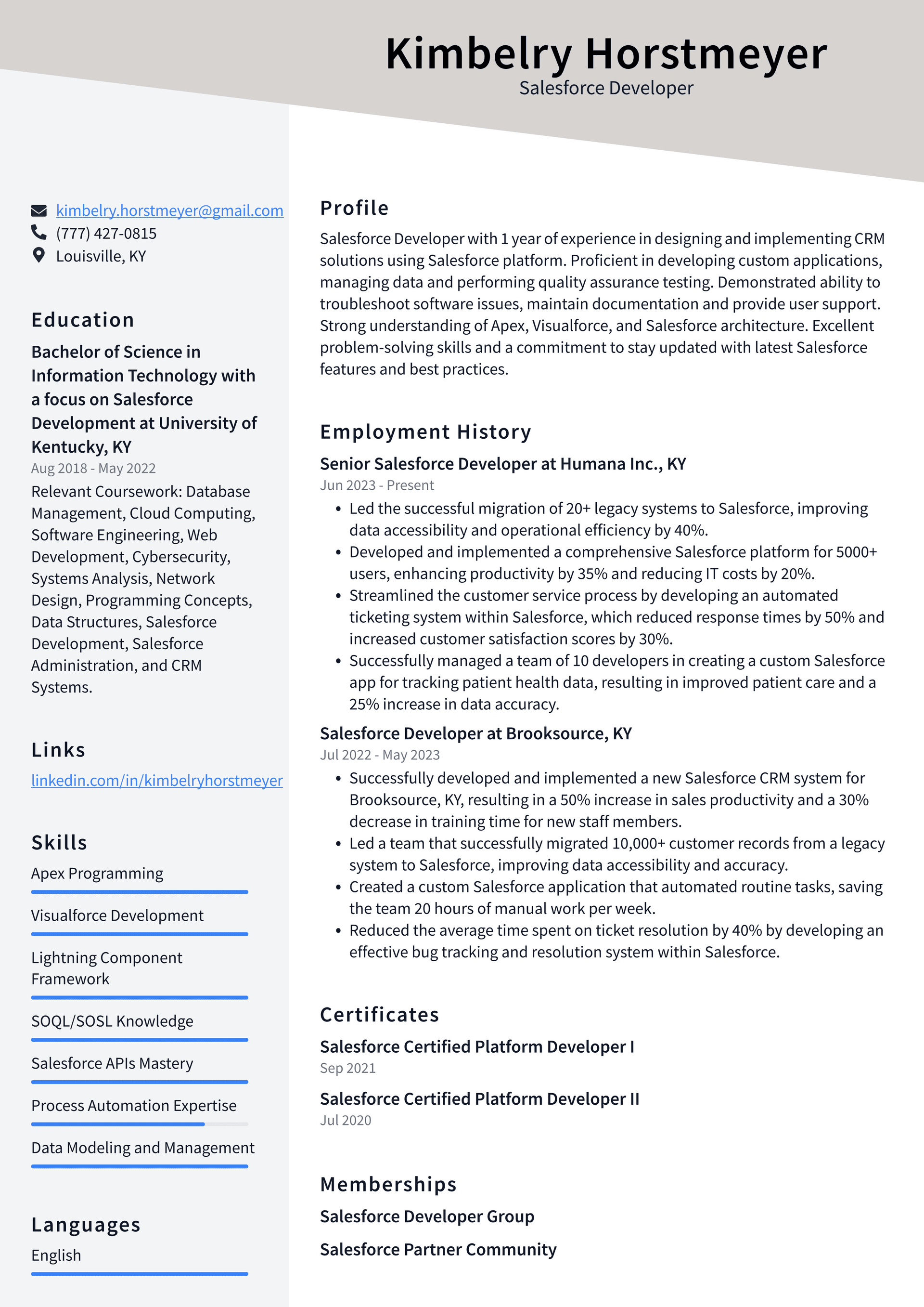 Adobe Salesforce Developer Resume Examples | ResumeCat