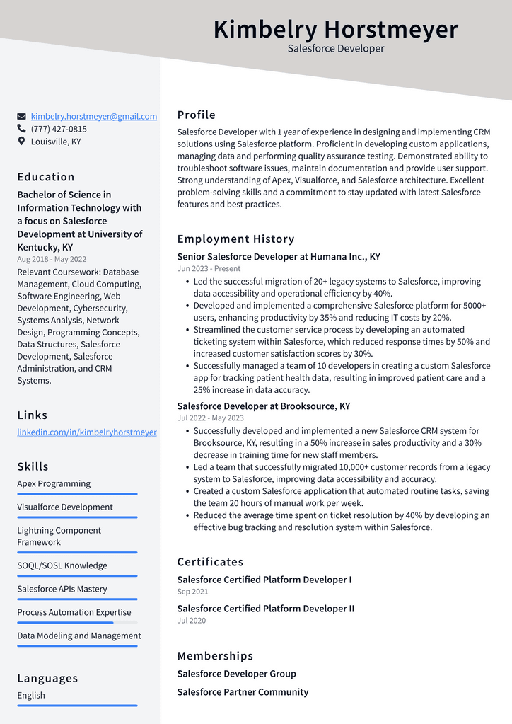 Adobe Salesforce Developer Resume Examples | ResumeCat