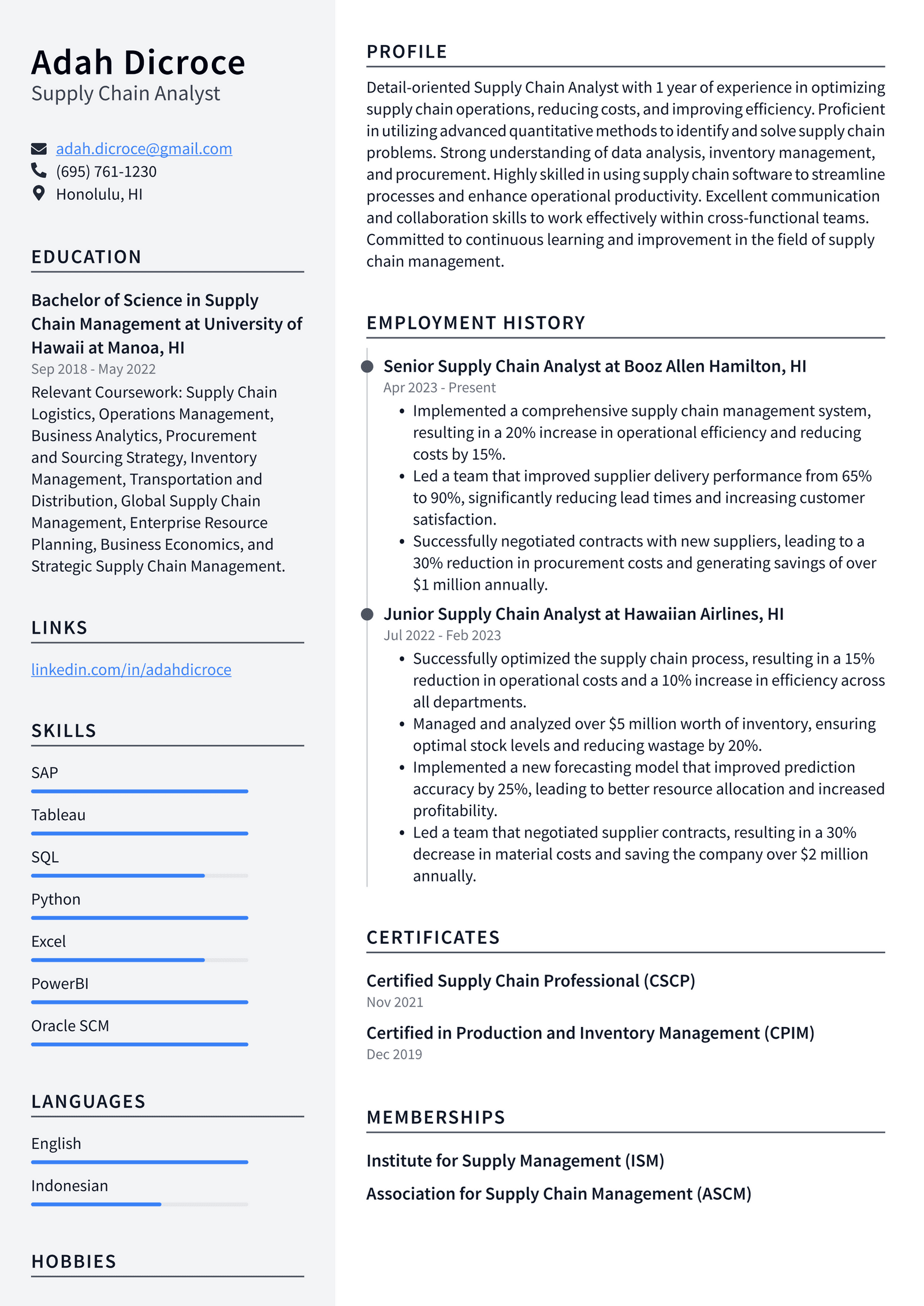 Adobe Supply Chain Analyst Resume Examples | ResumeCat