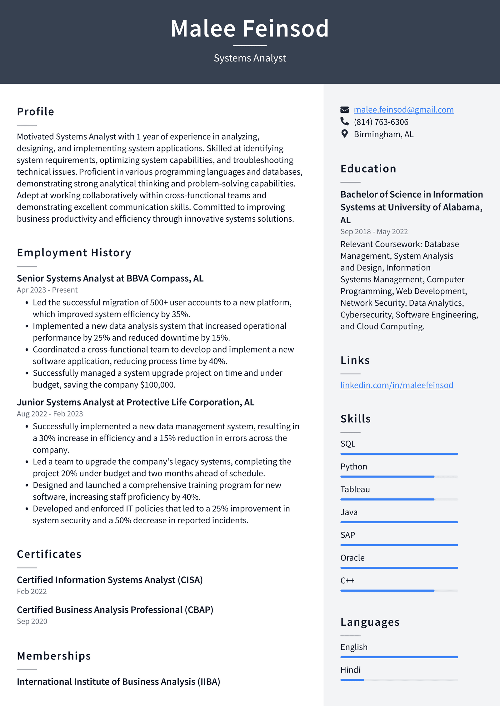 Adobe Systems Analyst Resume Examples | ResumeCat