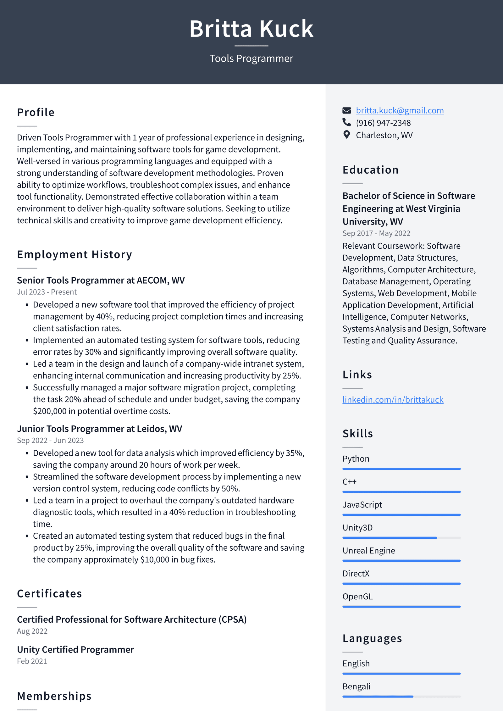 Adobe Tools Programmer Resume Examples | ResumeCat