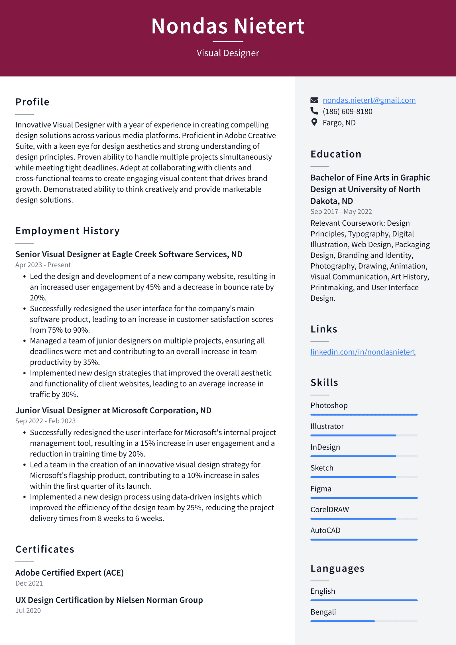 Adobe Visual Designer Resume Examples | ResumeCat