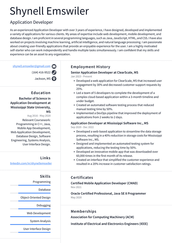 Apple Application Developer Resume Examples | ResumeCat