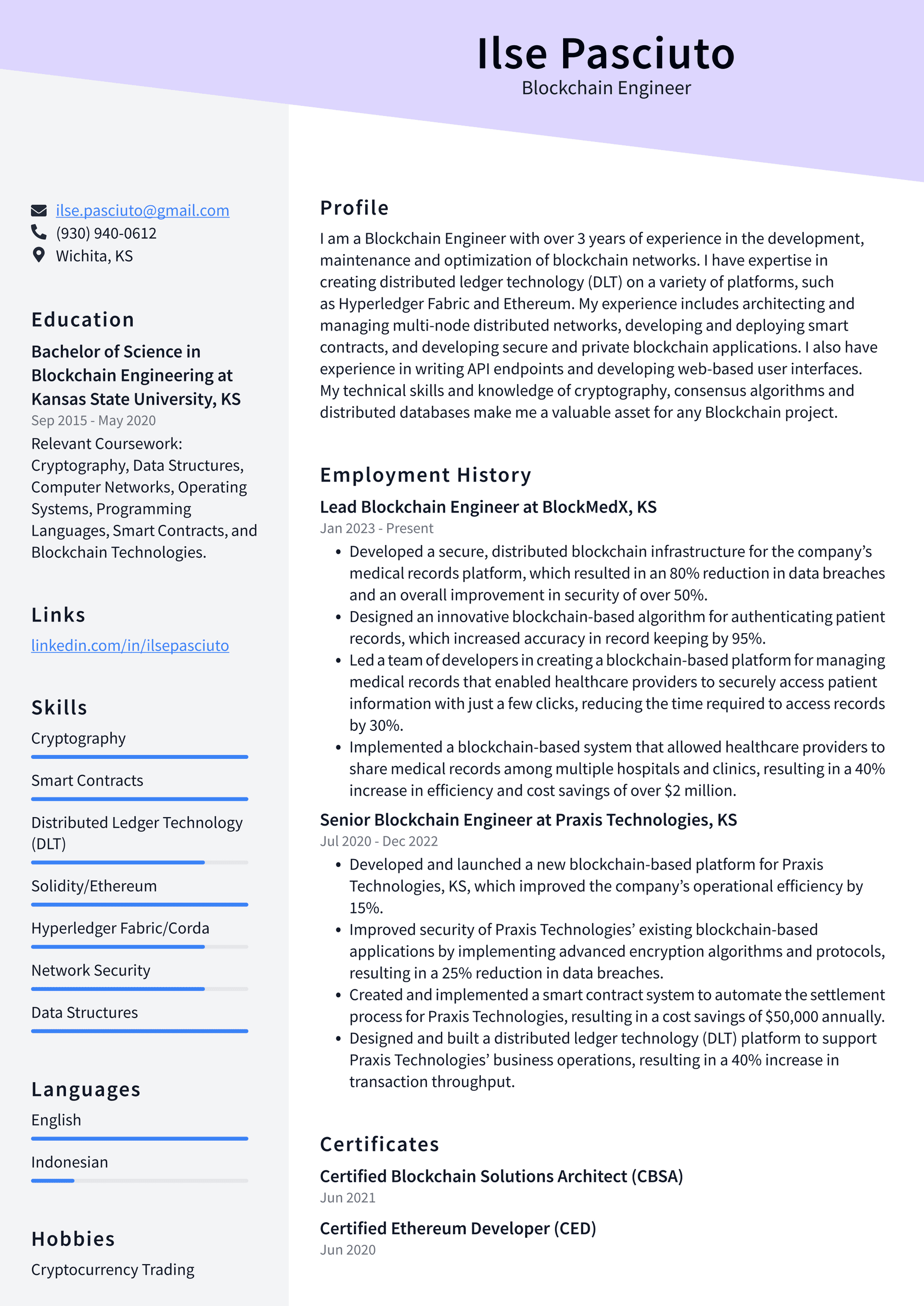 Apple Blockchain Engineer Resume Examples | ResumeCat