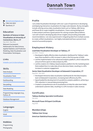 Apple Data Visualization Developer Resume Examples