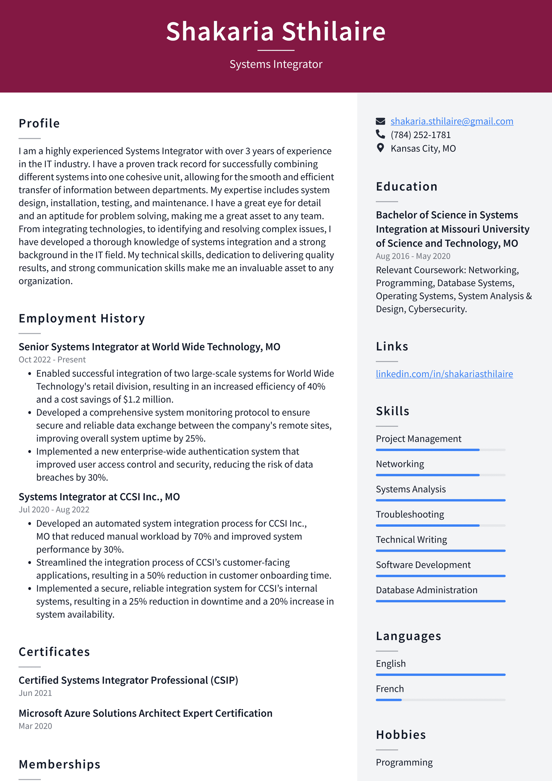 Apple Systems Integrator Resume Examples | ResumeCat