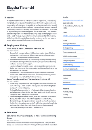 Costco Truck Driver Resume Examples | ResumeCat