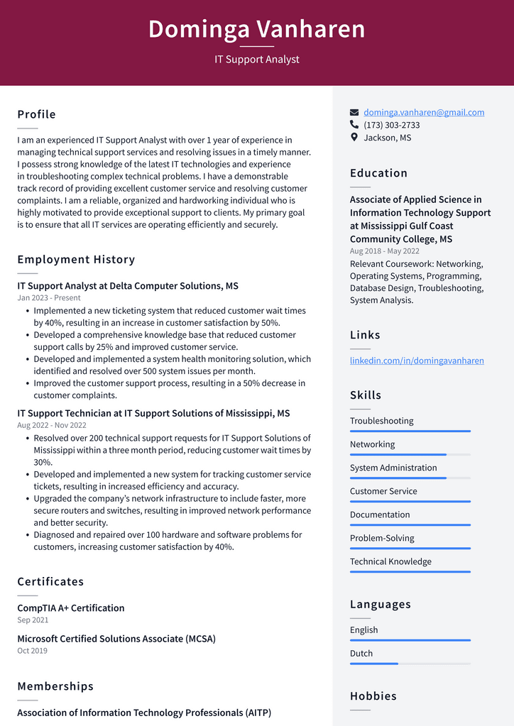 CVS IT Support Analyst Resume Examples | ResumeCat