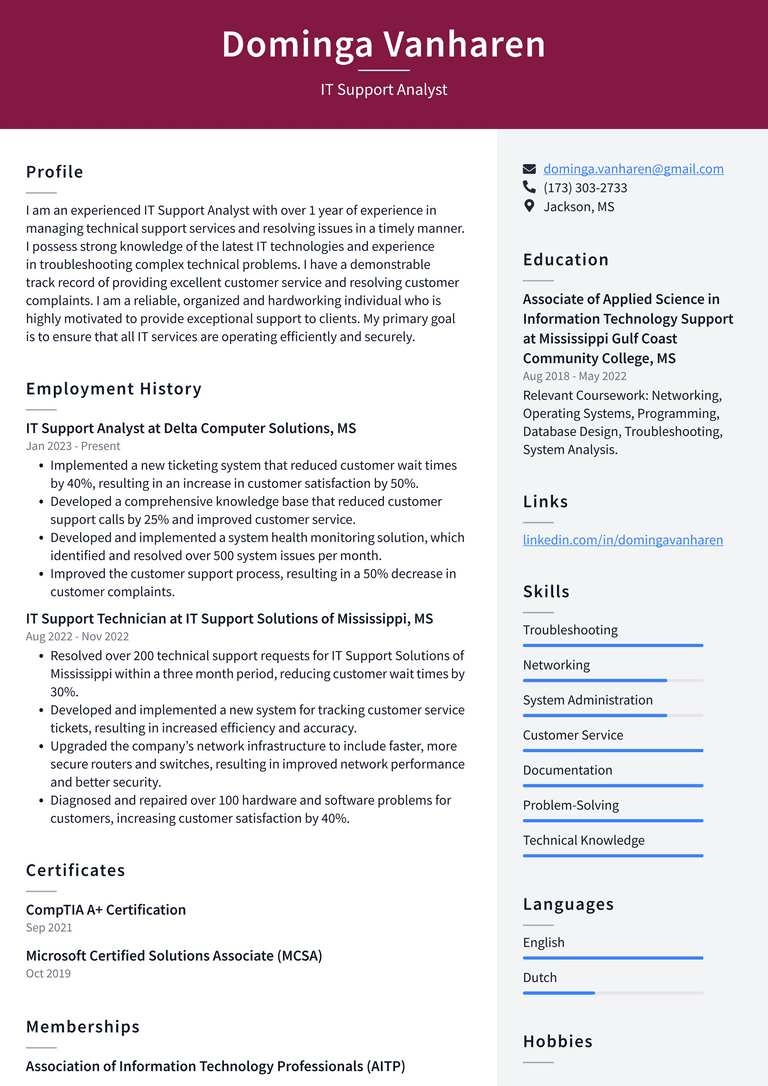 CVS IT Support Analyst Resume Examples | ResumeCat