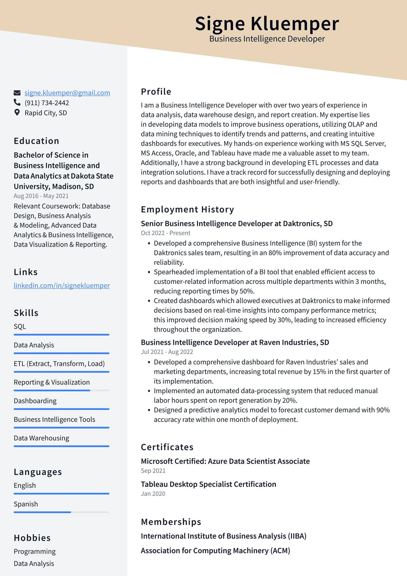 Google Business Intelligence Developer Resume Examples