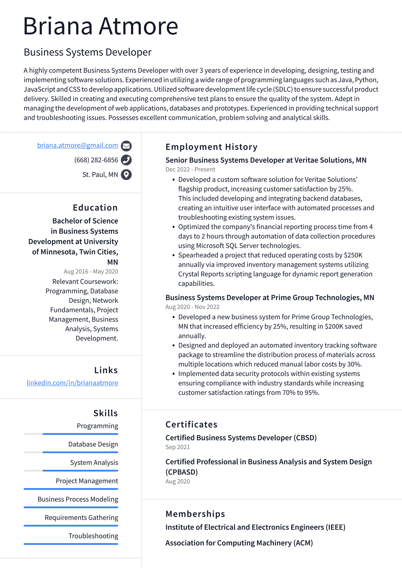 Google Business Systems Developer Resume Examples