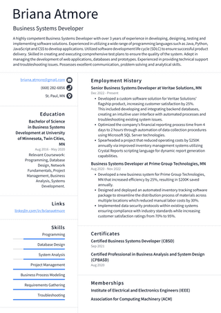 Google Business Systems Developer Resume Examples