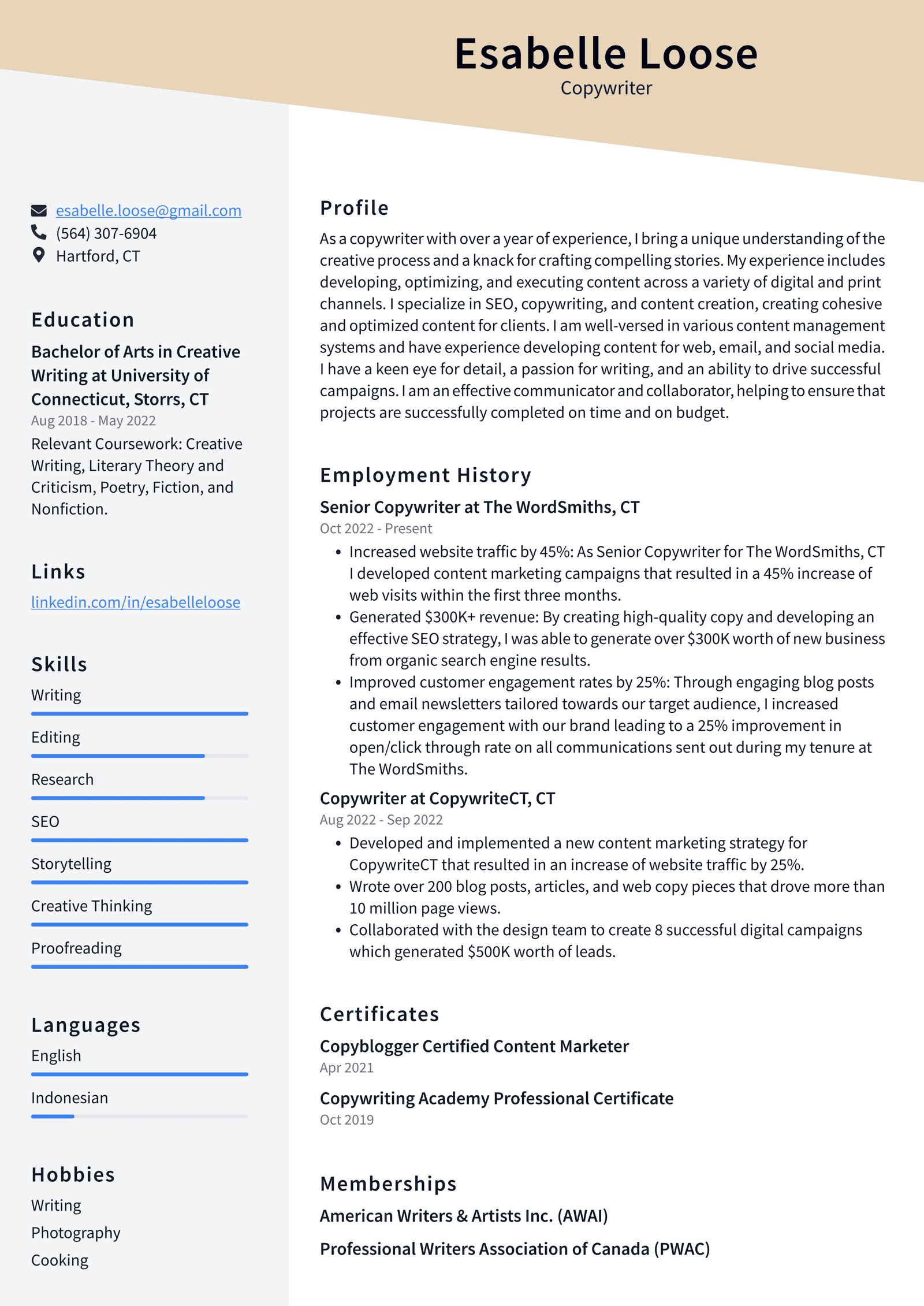 Google Copywriter Resume Examples | ResumeCat