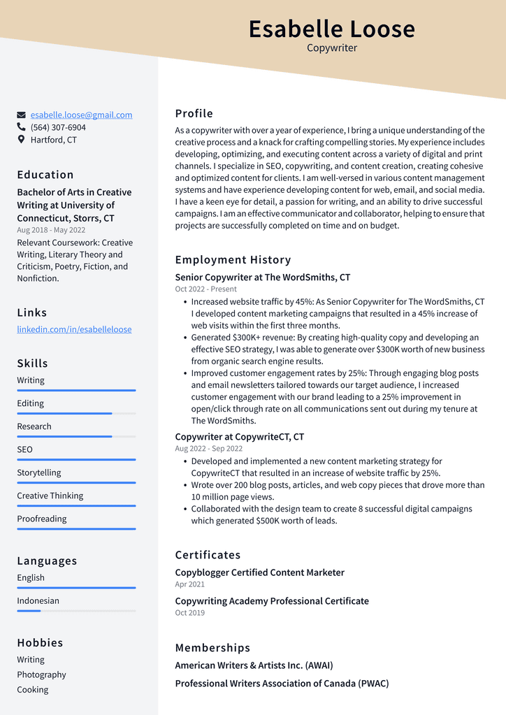 Google Copywriter Resume Examples | ResumeCat