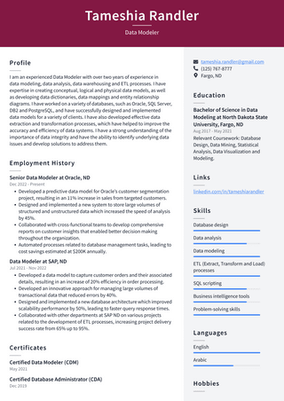 Google Data Modeler Resume Examples | ResumeCat