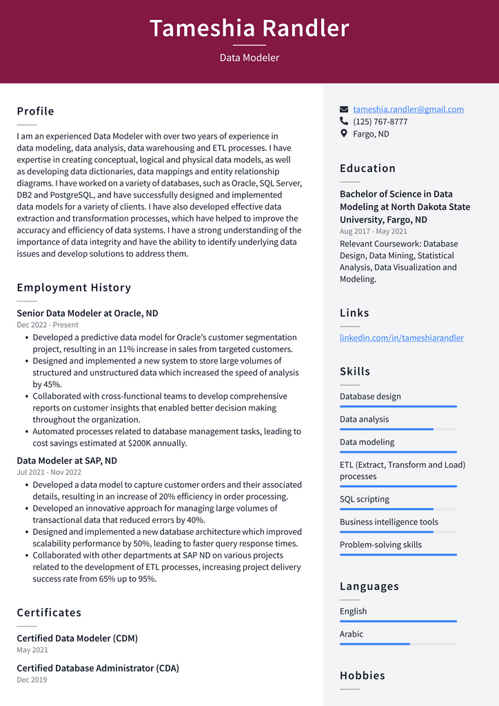 Google Data Modeler Resume Examples | ResumeCat