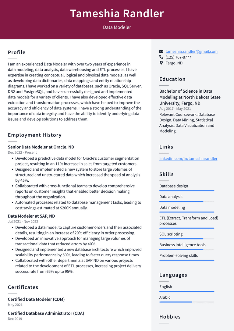 Google Data Modeler Resume Examples | ResumeCat