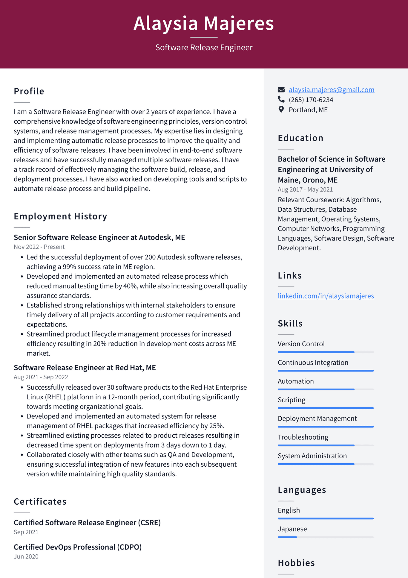 Google Software Release Engineer Resume Examples | ResumeCat