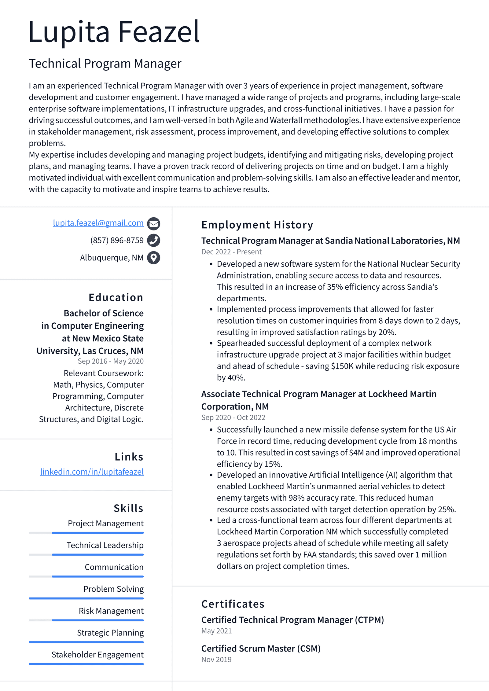 Google Technical Program Manager Resume Examples | ResumeCat