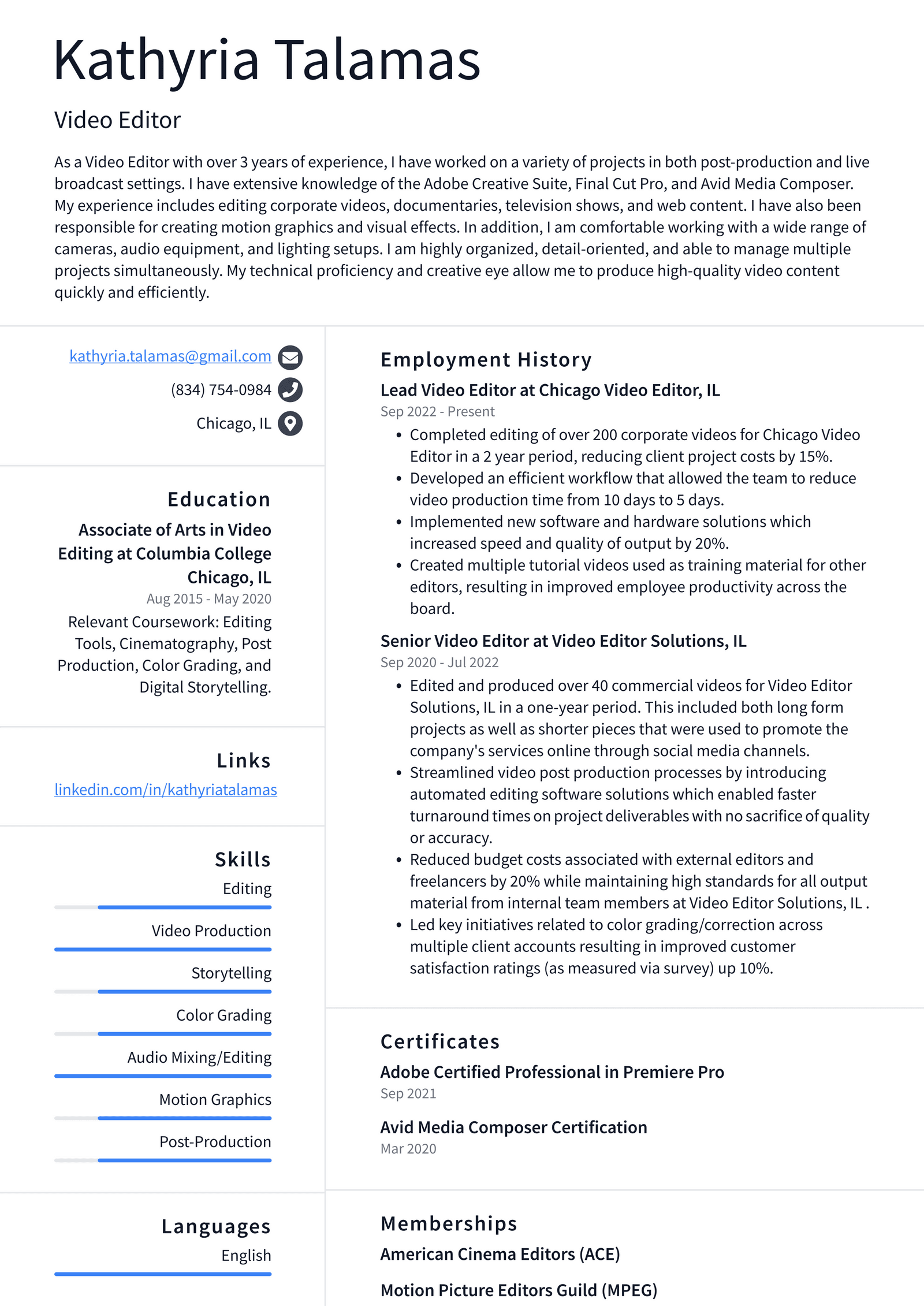 Google Video Editor Resume Examples | ResumeCat