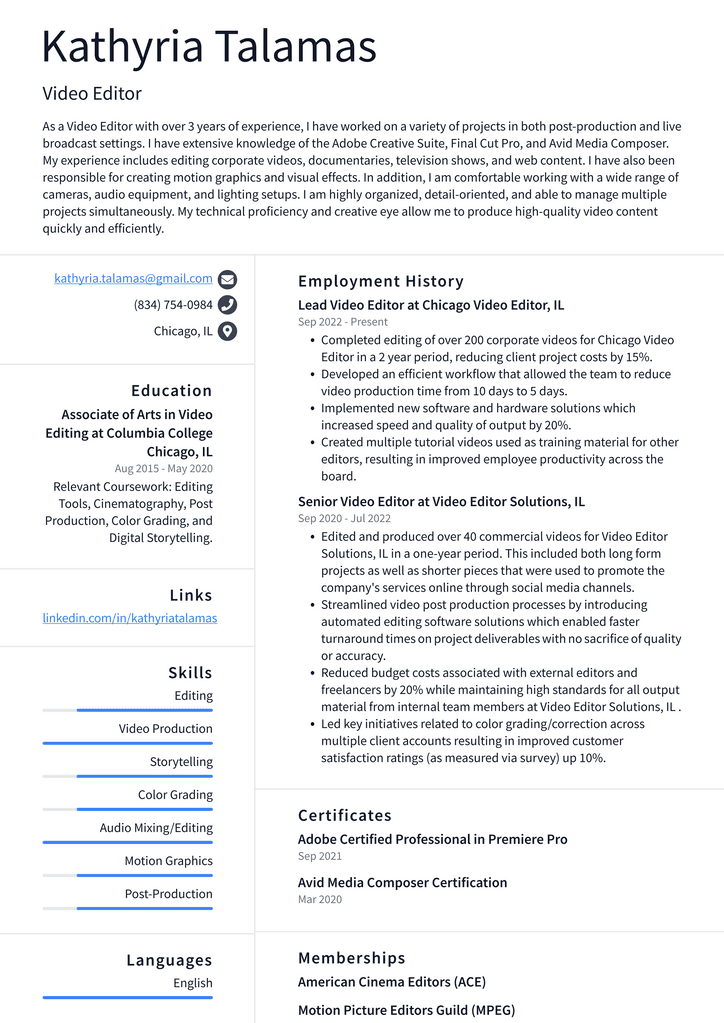Google Video Editor Resume Examples | ResumeCat
