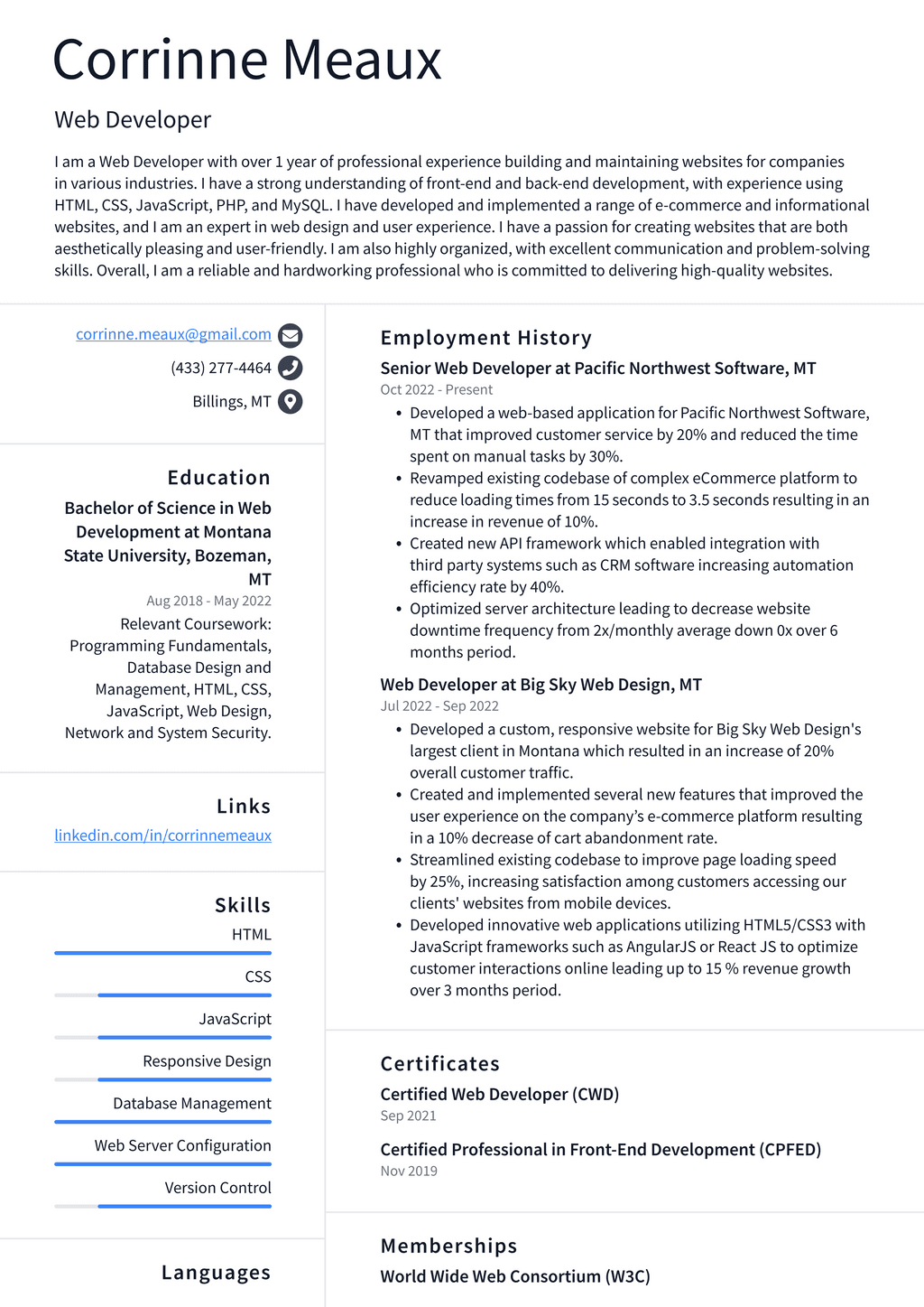 Google Web Developer Resume Examples | ResumeCat