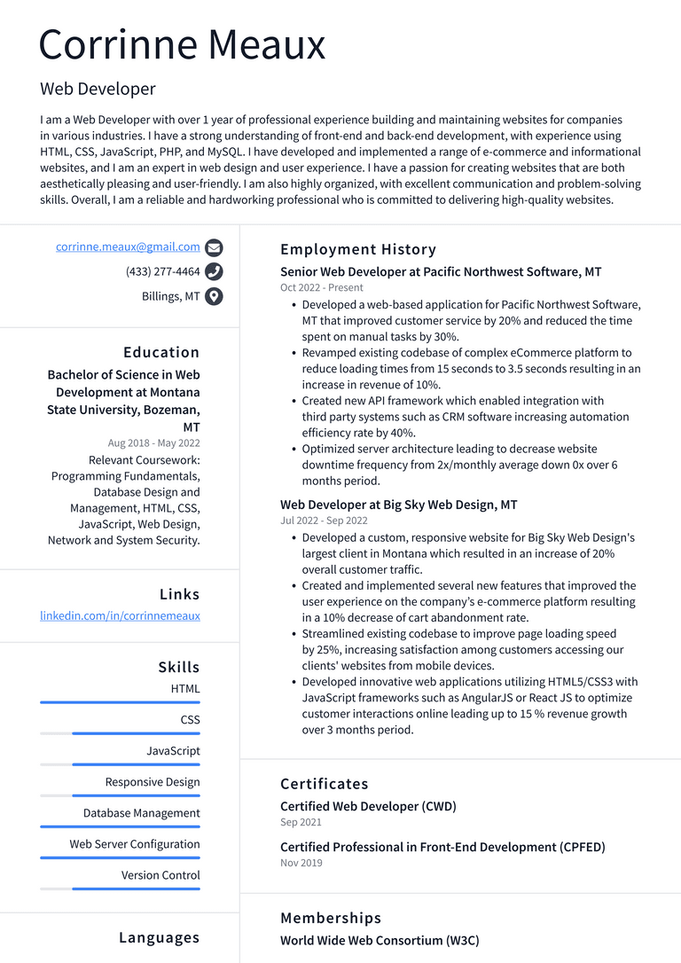 Google Web Developer Resume Examples | ResumeCat