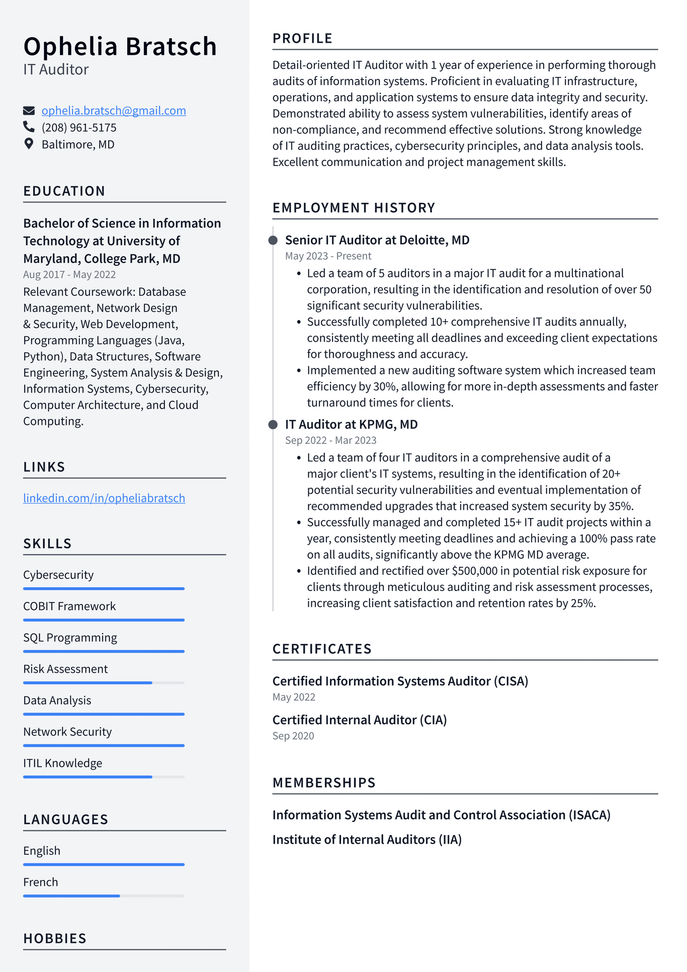 IBM IT Auditor Resume Examples | ResumeCat