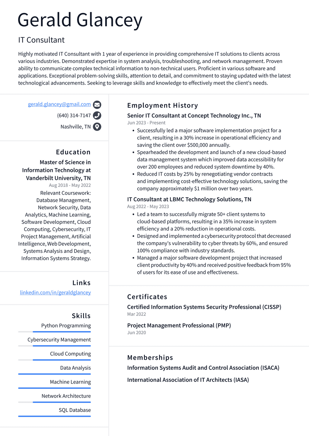 IBM IT Consultant Resume Examples | ResumeCat