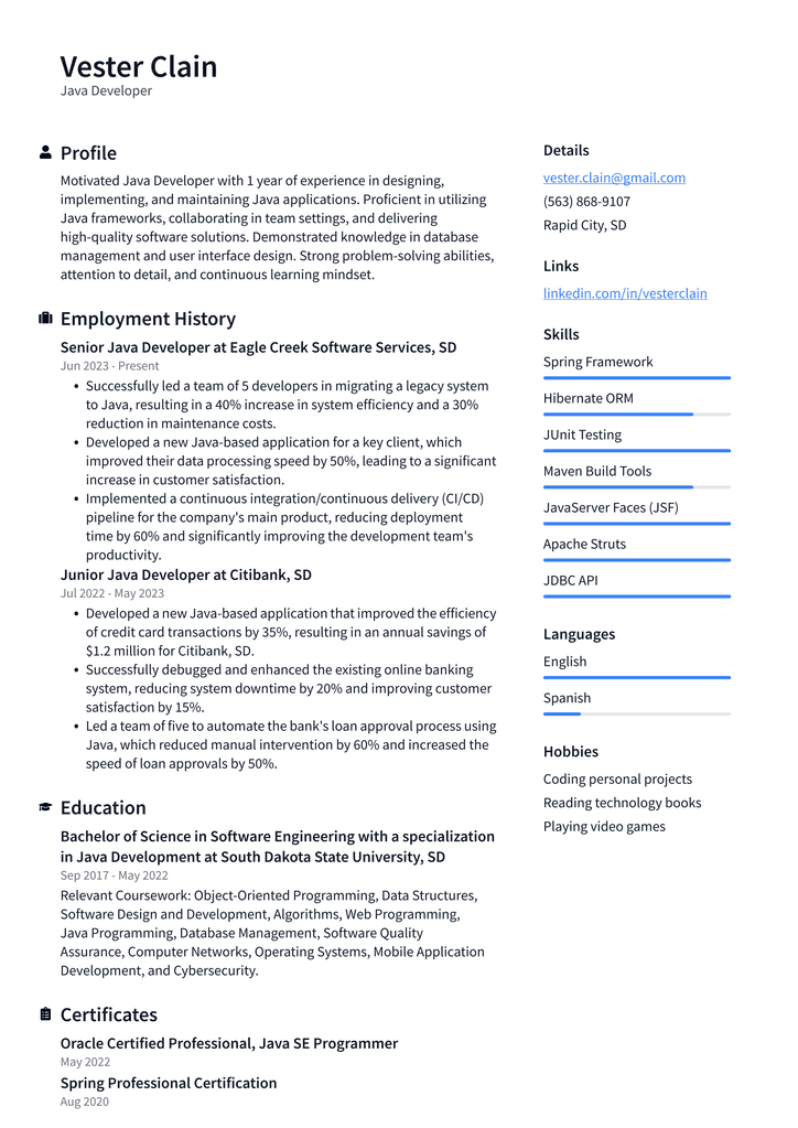 IBM Java Developer Resume Examples | ResumeCat