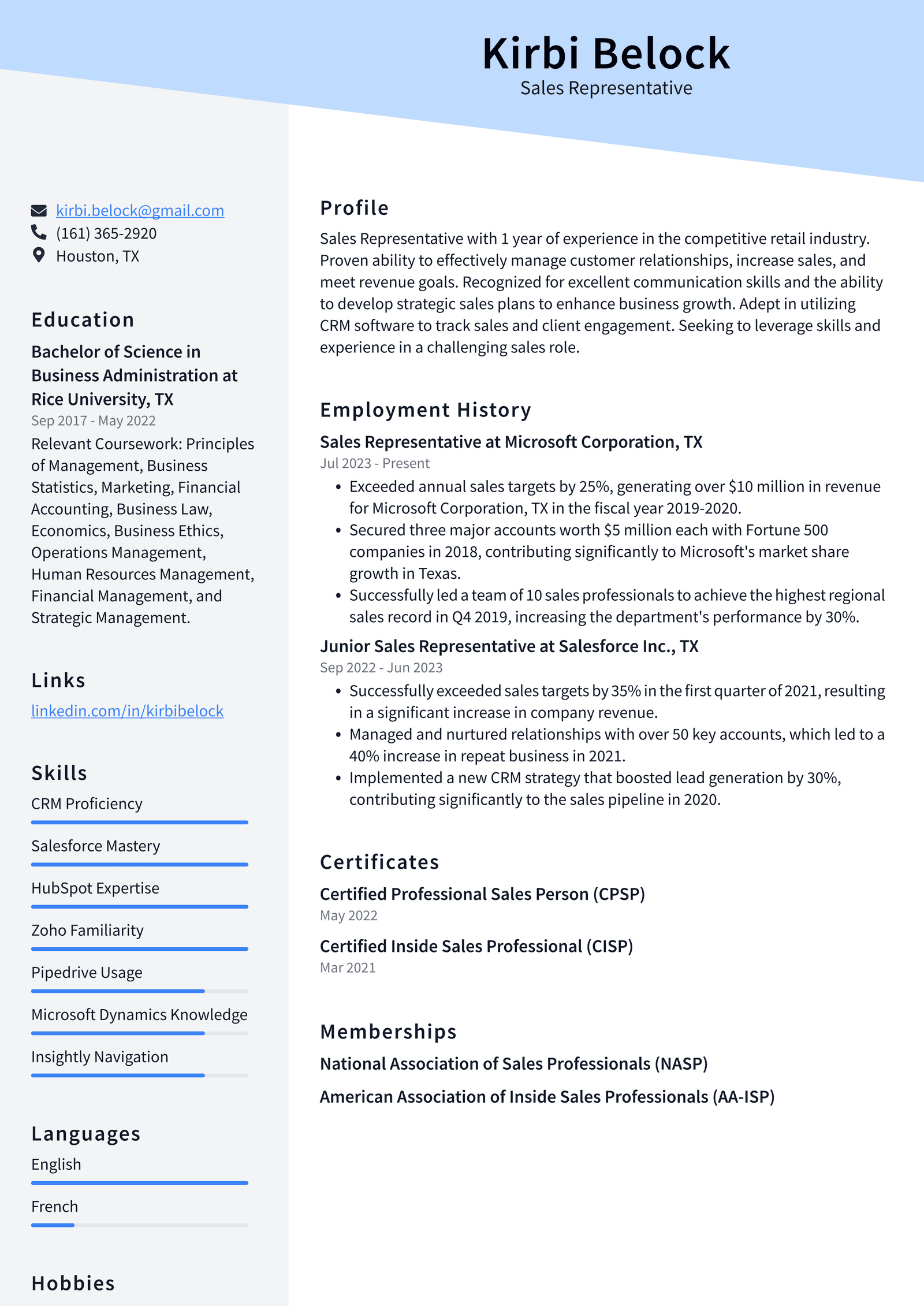 IBM Sales Representative Resume Examples | ResumeCat