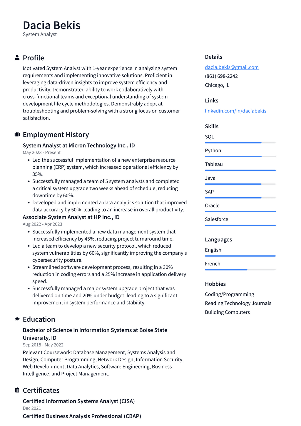 IBM System Analyst Resume Examples | ResumeCat