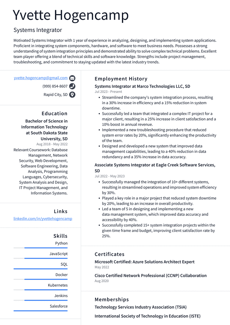 IBM Systems Integrator Resume Examples | ResumeCat