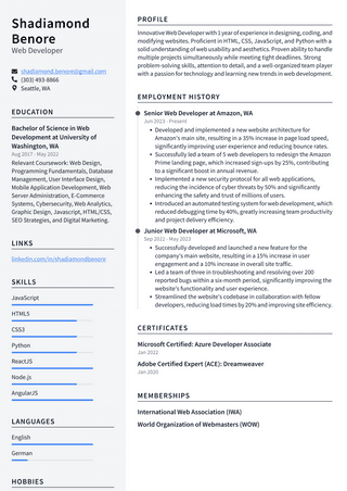 IBM Web Developer Resume Examples | ResumeCat