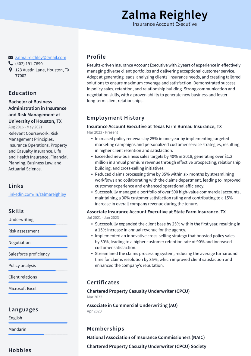 Top 16 Insurance Account Executive Resume Objective Examples