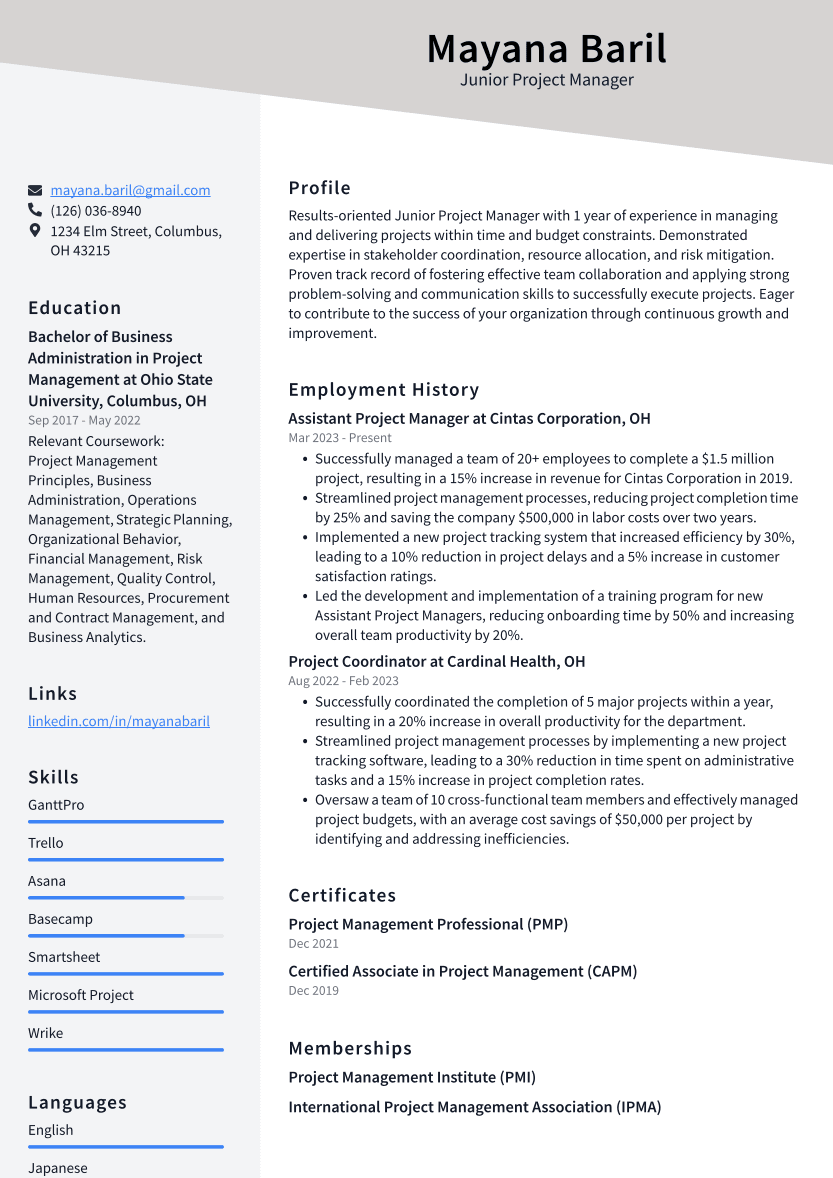 12 Junior Project Manager Skills Definition And Examples