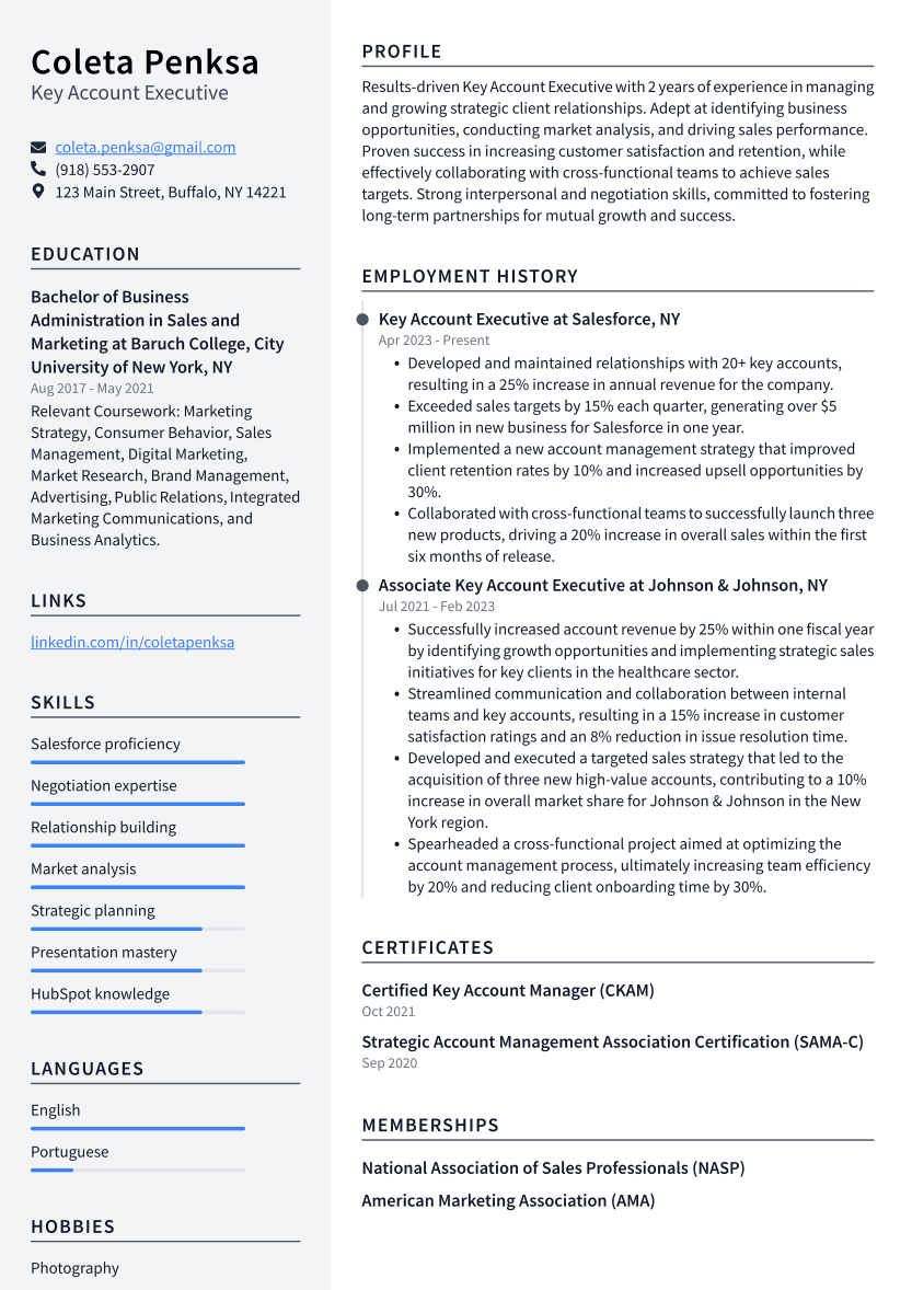 Top 17 Key Account Executive Resume Objective Examples