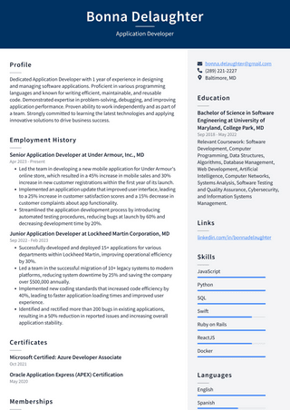 LinkedIn Application Developer Resume Examples | ResumeCat