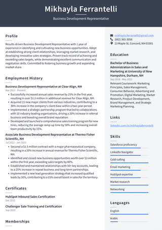 Lyft Business Development Representative Resume Examples