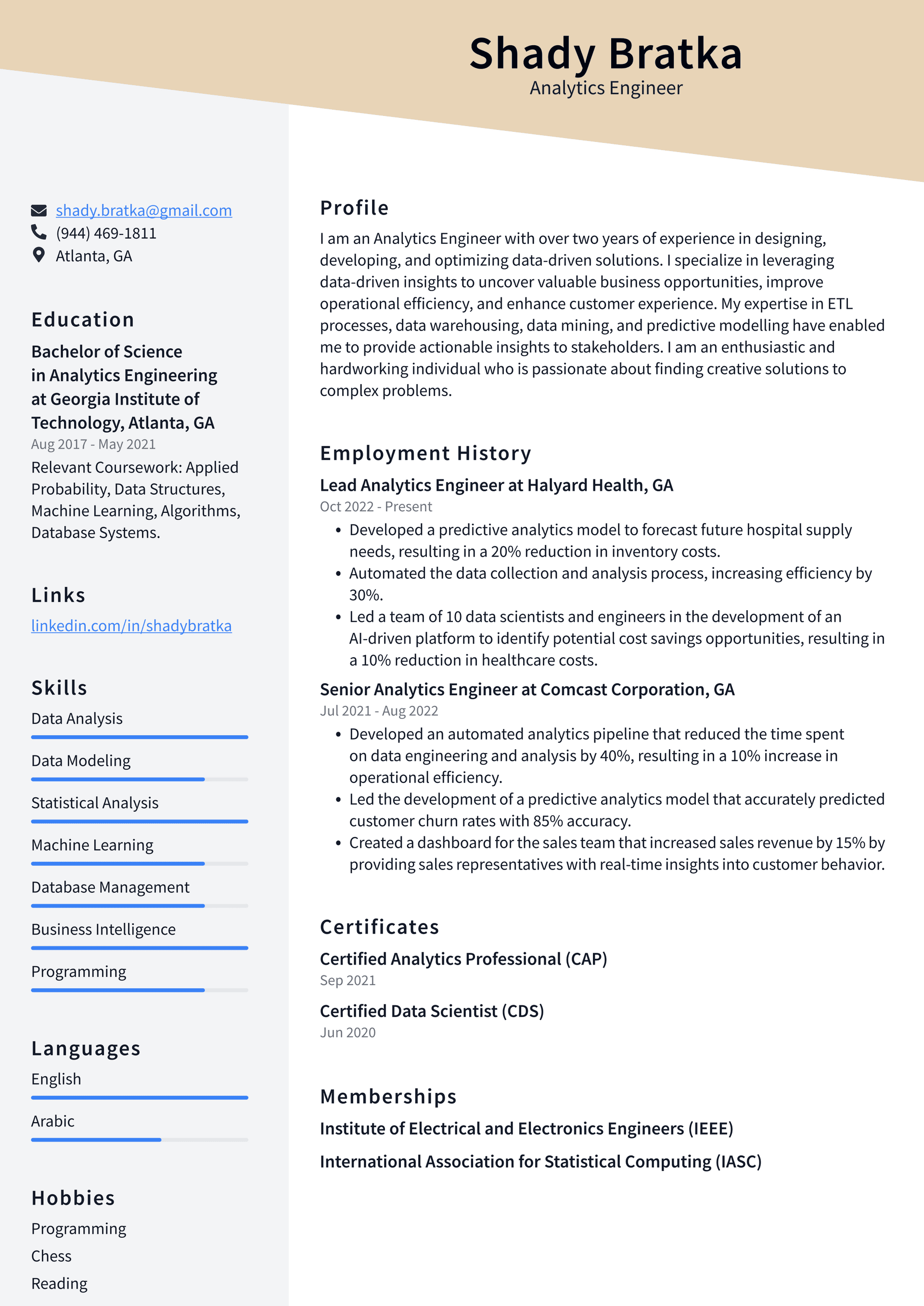Meta Analytics Engineer Resume Examples | ResumeCat