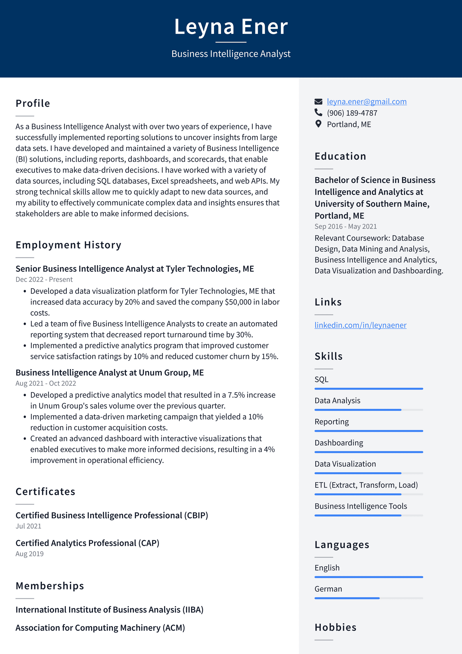 Meta Business Intelligence Analyst Resume Examples