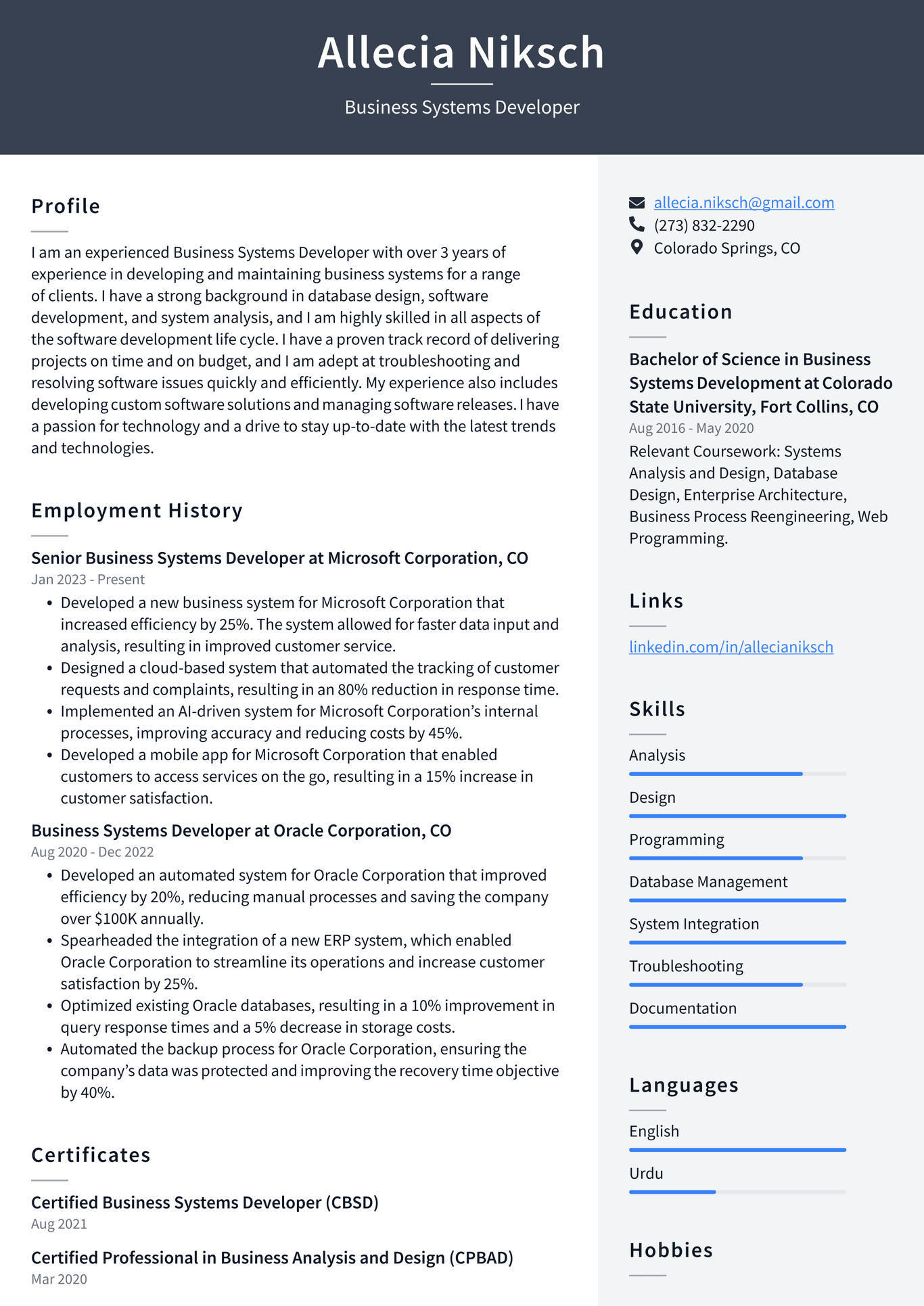 Meta Business Systems Developer Resume Examples | ResumeCat