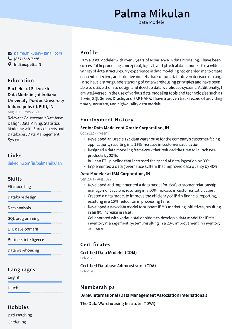 Meta Data Modeler Resume Examples | ResumeCat